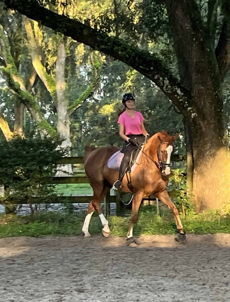 Polishing your Position – Pony Paddock