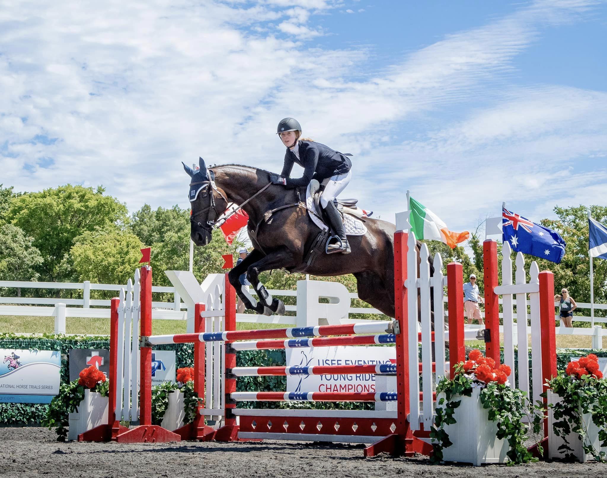 Contact – Pony Paddock